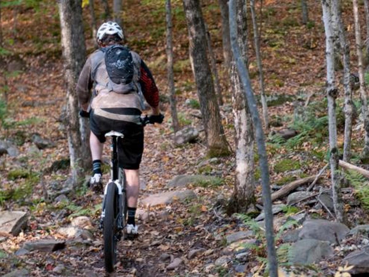 Elm Ridge Trail System | Great Northern Catskills of Greene County